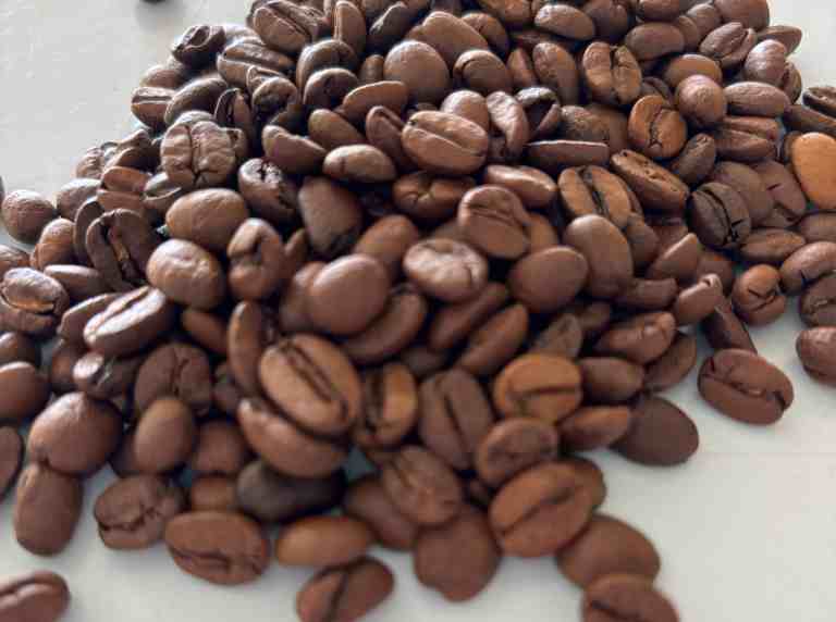Introducing the 12 Best Coffee Roasters in Boston, MA – Slow Traveling Cat